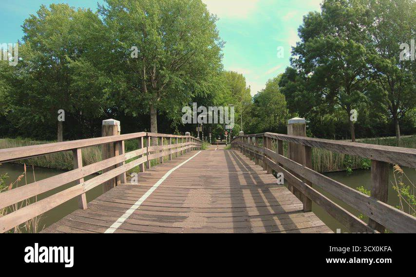 Wooden bridge, picturesque nature, amazing walking under the trees ...