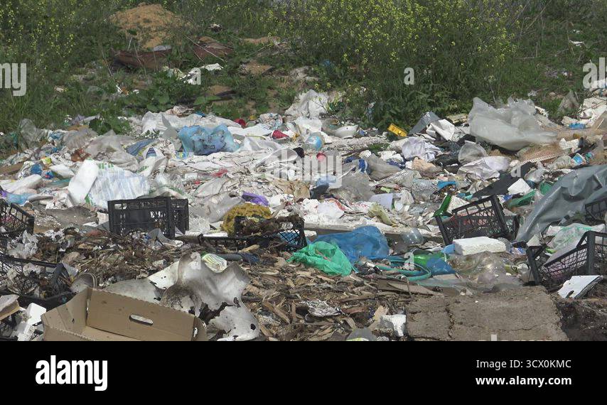 Heaps of plastic trash on the shore of the reservoir. Environmental ...