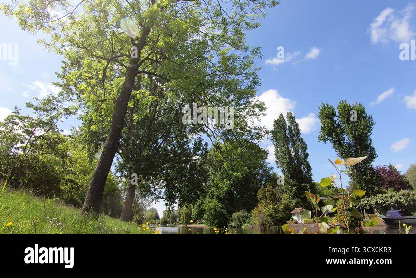 Canal view; beautiful houses; amazing scene Stock Video Footage - Alamy