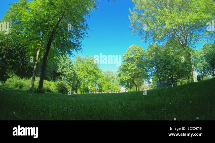 Outdoor park in sunny Stock Videos & Footage - HD and 4K Video Clips ...