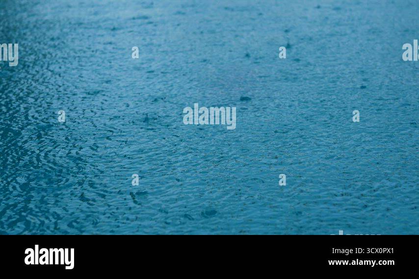 4K footage seamless loop. closeup footage rain on water surface. rain ...