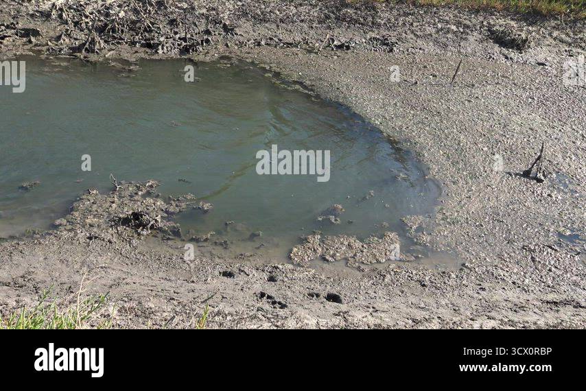 Dirty water blue green algae Stock Videos & Footage - HD and 4K Video ...