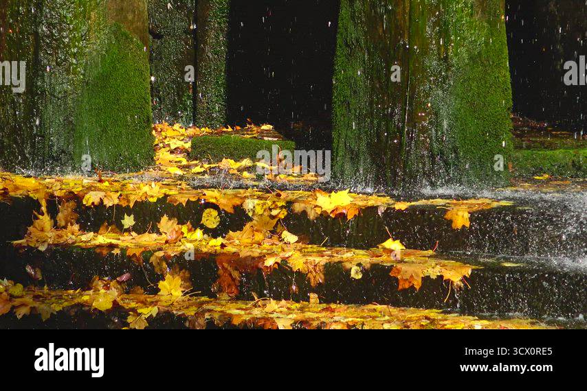 Autumn waterfall scene yellow leaves Stock Videos & Footage - HD and 4K ...