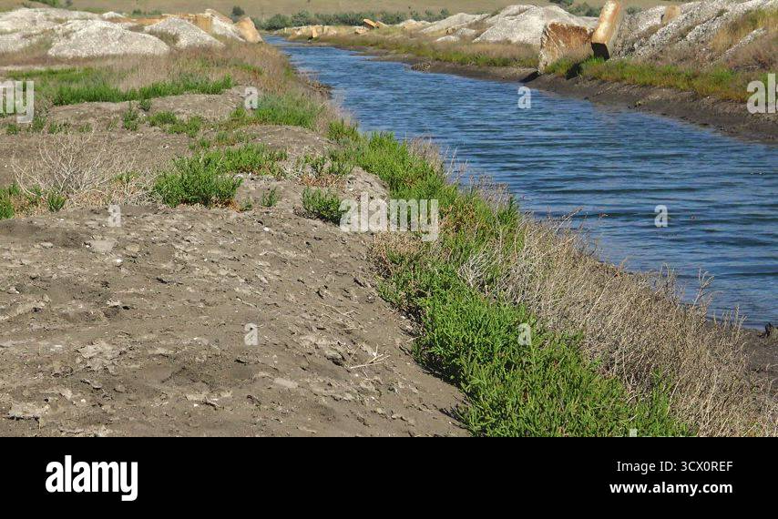 An artificial canal blocking the path of the small river Big Kuyalnik ...