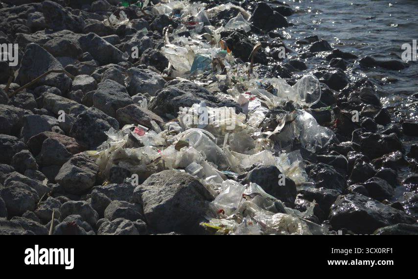 Plastic trash, ecology of the sea. Decaying Polyethylene garbage on the ...