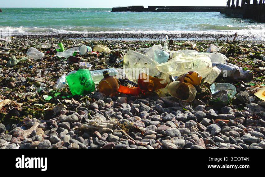 Ecological problem. Plastic trash in the sea and on the shore ...