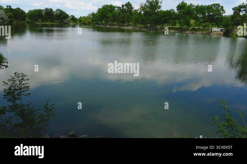 A magnificent view of the lake against the backdrop of the forest ...