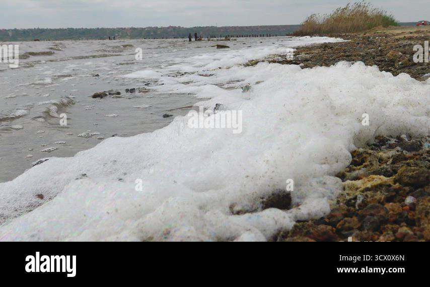Dirty water and foam in the lake. Eutrophication and pollution of ...