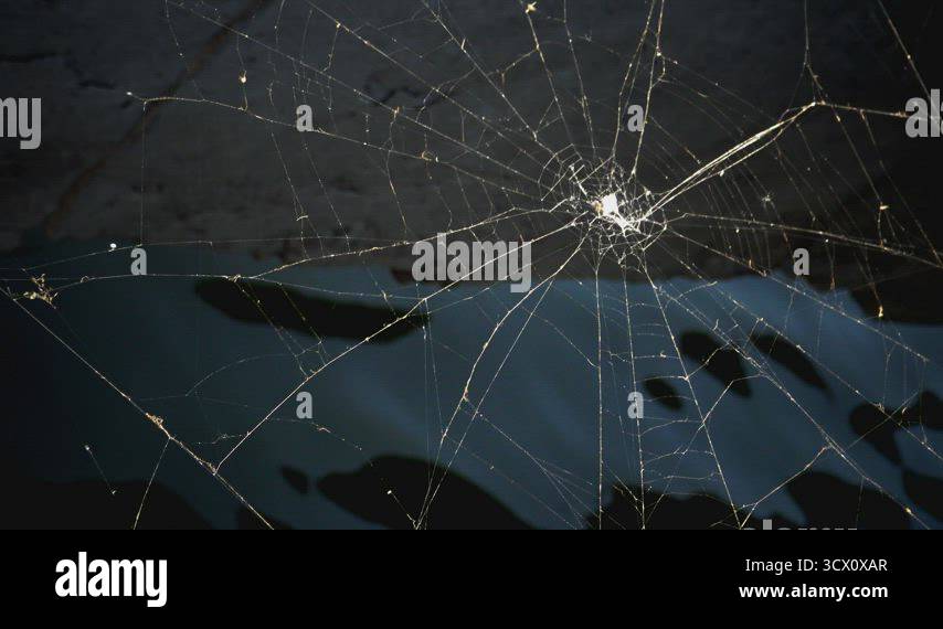 Spider web of the crosspiece above the water Stock Video Footage - Alamy