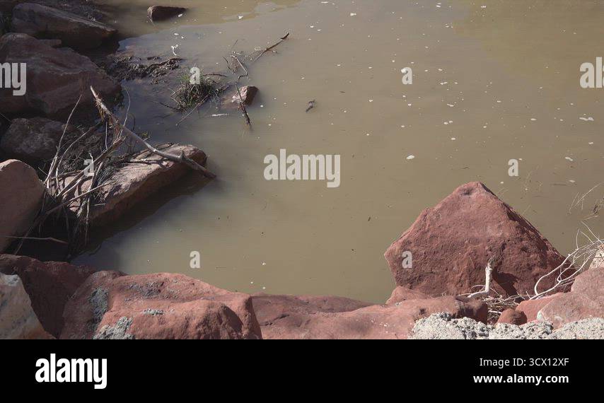 Muddy water in the river at the bottom of the canyon, mountain ...