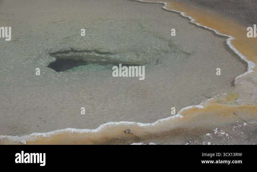 Algae-bacterial mats. Hot thermal spring, hot pool in the Yellowstone ...
