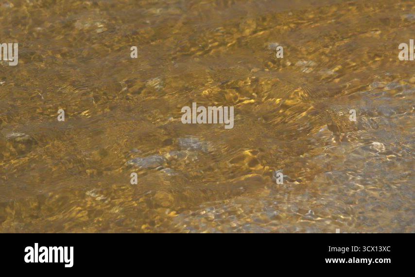 Algae-bacterial mats. Hot thermal spring, hot pool in the Yellowstone ...