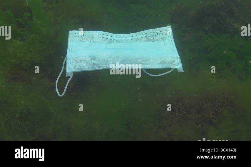 Crab entangled in a medical mask. Used mask thrown into the sea ...