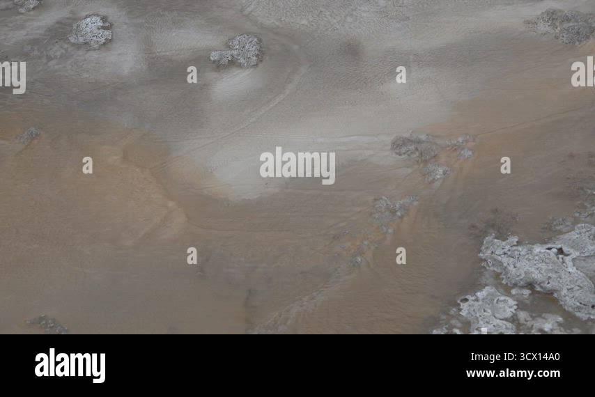 Algae-bacterial mats. Hot thermal spring, hot pool in the Yellowstone ...