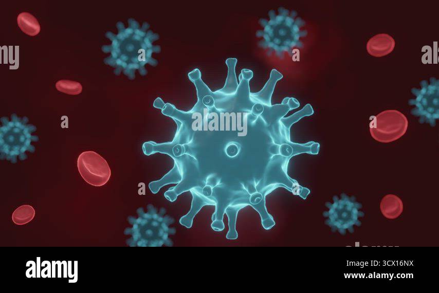 3D animation Coronavirus cell inside human body. COVID-19 cell in ...