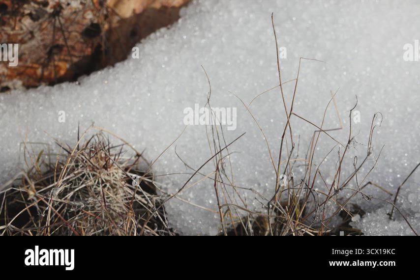 White desert balls Stock Videos & Footage - HD and 4K Video Clips - Alamy