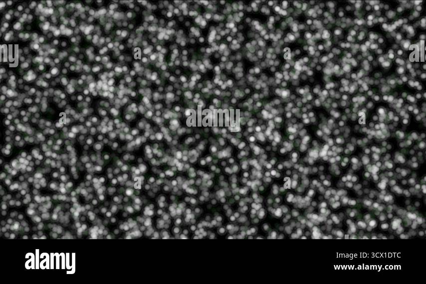 White cell dot 4k Stock Videos & Footage - HD and 4K Video Clips - Alamy