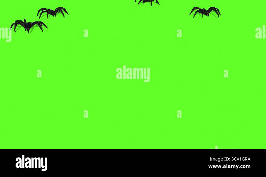 Animation Of Spiders On Green Screen Creepy Crawling Stock Video ...