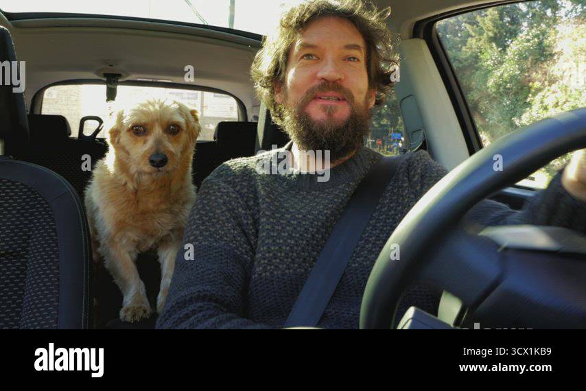 Corona dog Stock Videos & Footage - HD and 4K Video Clips - Alamy
