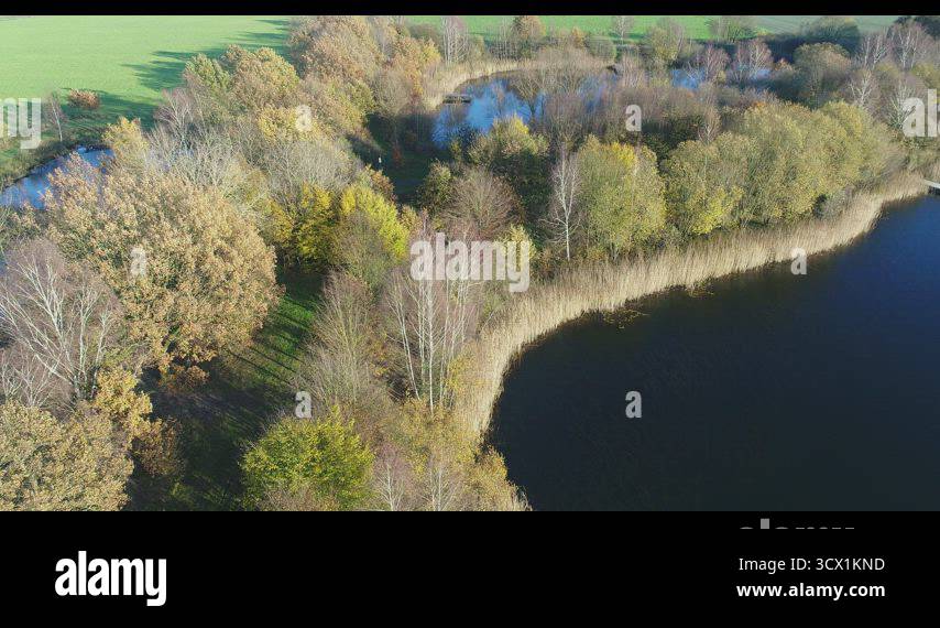 Slow reverse flight with the drone over a strip of autumnal trees Stock ...