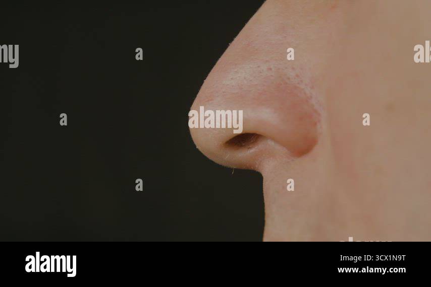 Nose profile breathing Stock Videos & Footage - HD and 4K Video Clips ...