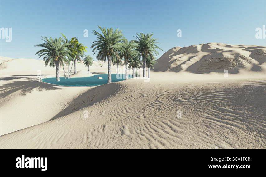 4K Animation Of Oasis In A Desert With Hot Sun In Background Stock ...