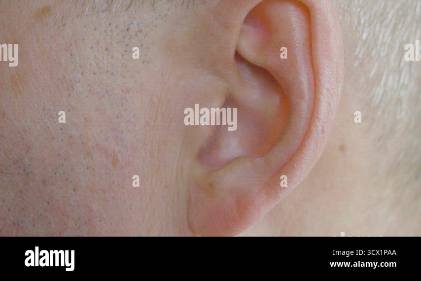 Close up man moving ear Stock Videos & Footage - HD and 4K Video Clips ...