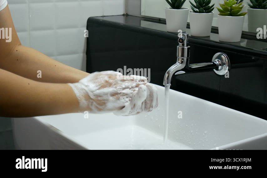 personal hygiene. washing hands, rubbing hand thoroughly with soap that ...