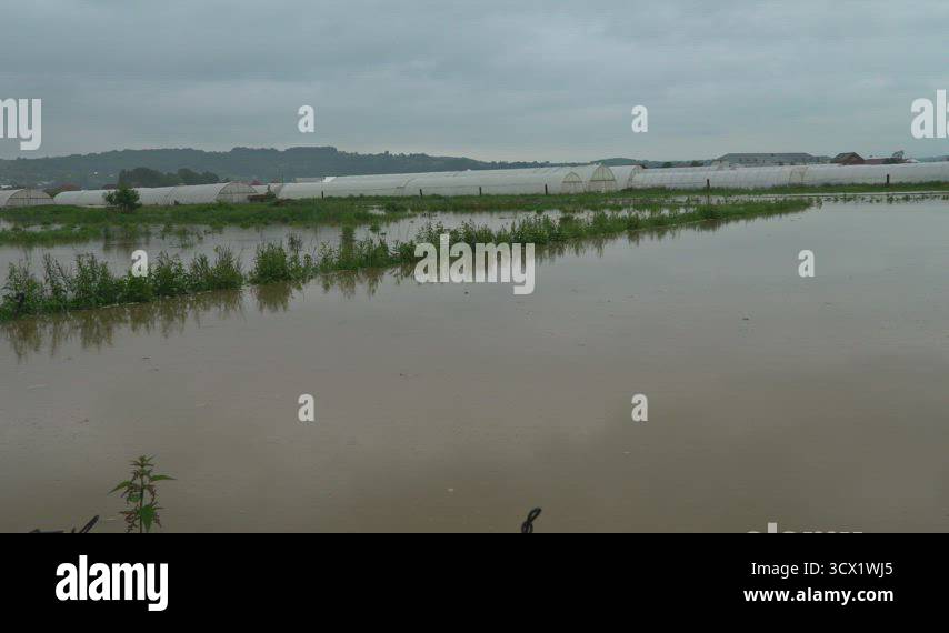 Flooded field plantation with farm after heavy rains storm Stock Video ...