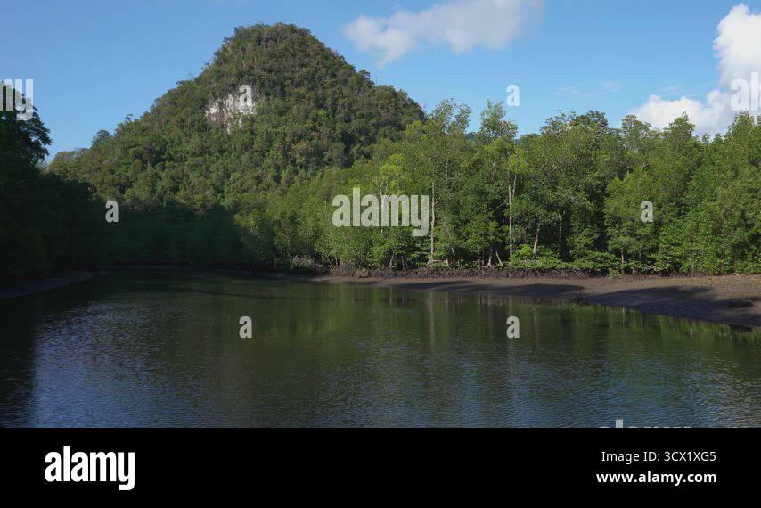 Landscape nature flowing river against Stock Videos & Footage - HD and ...
