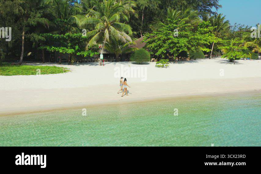 Young beauty models on vacation by the sea at the beach on summer white ...