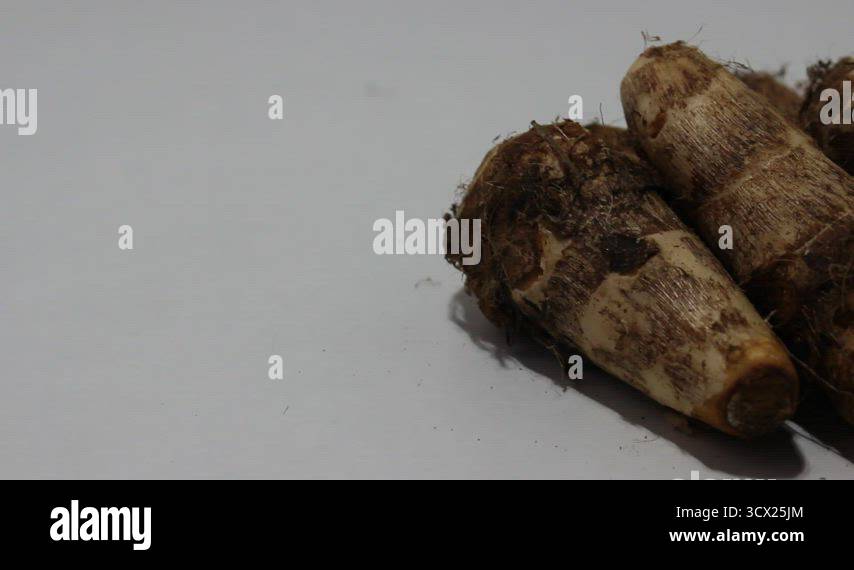 Taro corm roots isolated Stock Videos & Footage - HD and 4K Video Clips ...