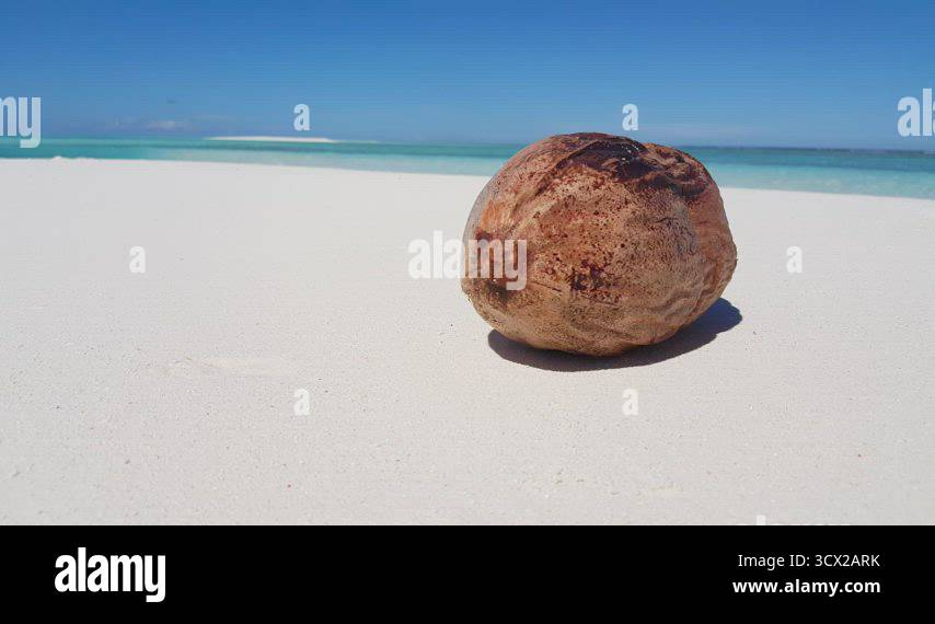 Daytime flying copy space shot of a white sand paradise beach and blue ...