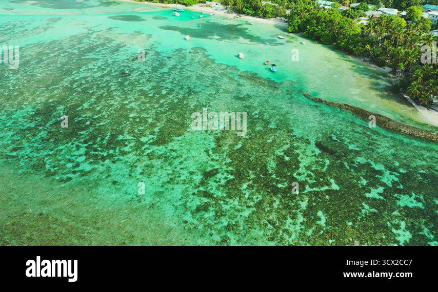 Natural flying tourism shot of a white paradise beach and blue sea ...