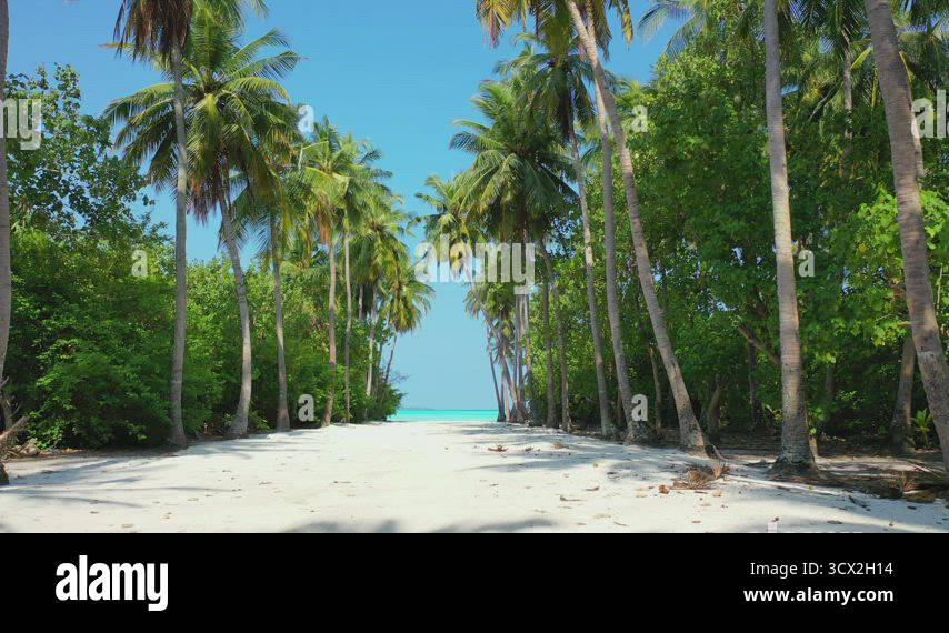 Beautiful drone clean view of a paradise sunny white sand beach and ...
