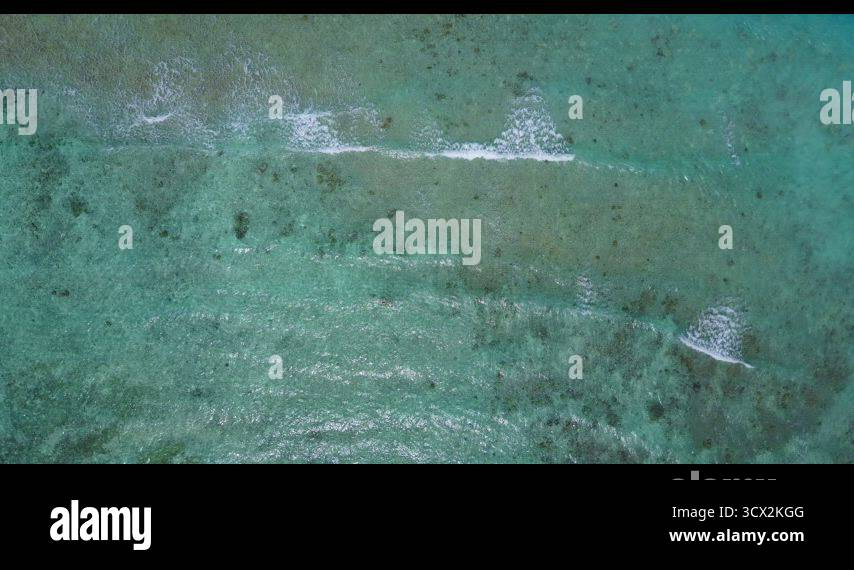 Tropical drone clean view of a paradise sunny white sand beach and blue ...