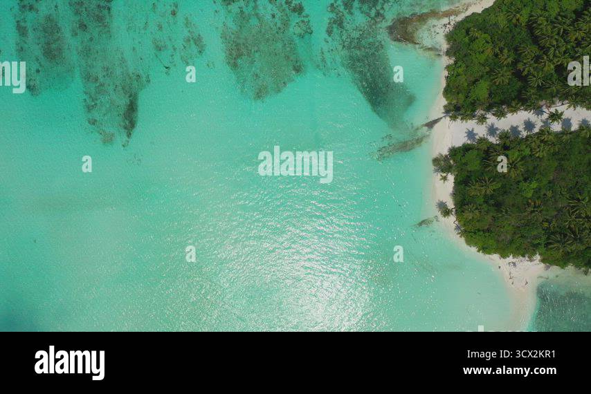 Tropical overhead island view of a sunshine white sandy paradise beach ...