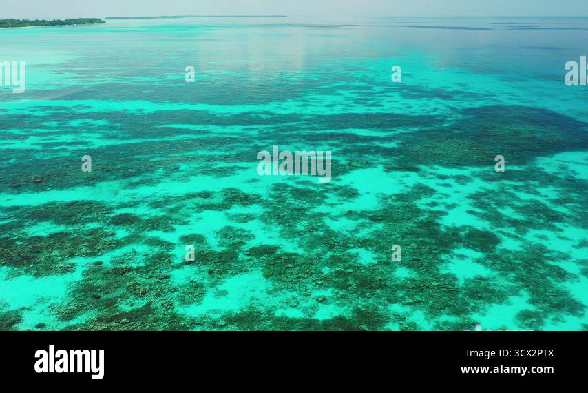 Beautiful aerial clean view of a paradise sunny white sand beach and ...