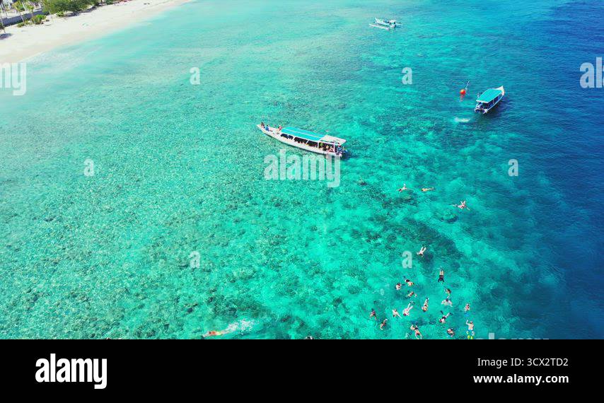 Tropical birds eye island view of a white sand paradise beach and aqua ...