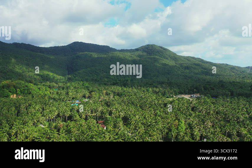 Daytime aerial travel shot of a summer white paradise sand beach and ...