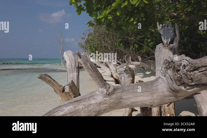 Wide overhead abstract shot of a paradise sunny white sand beach and ...