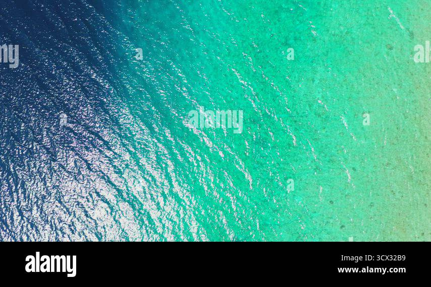 Natural aerial tourism shot of a paradise sunny white sand beach and ...