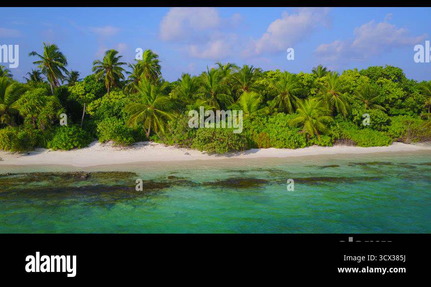 Beautiful aerial tourism shot of a white sand paradise beach and blue ...