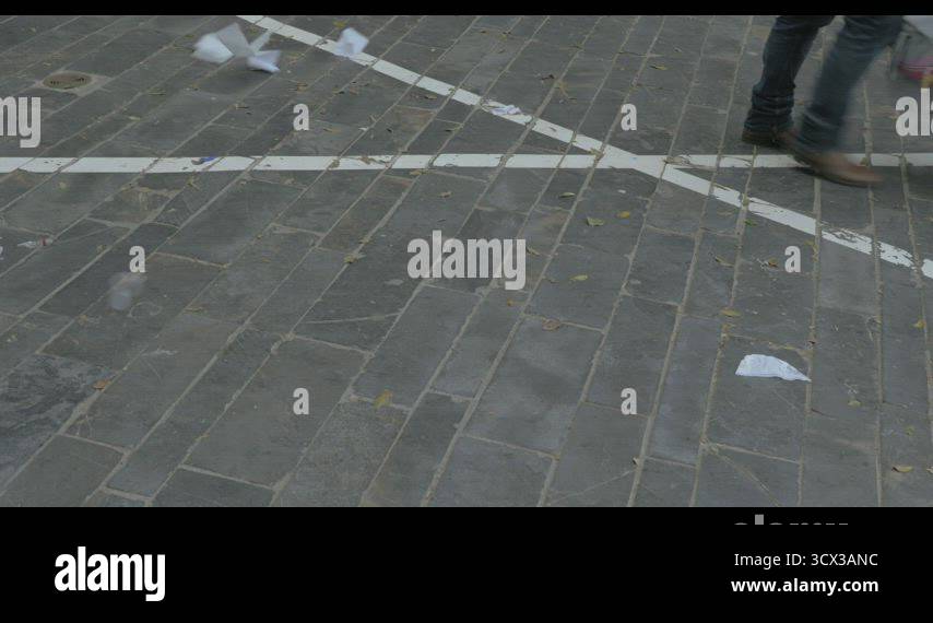 Paper litter rubbish in Stock Videos & Footage - HD and 4K Video Clips ...