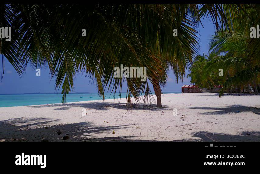 Luxury flying island view of a summer white paradise sand beach and ...
