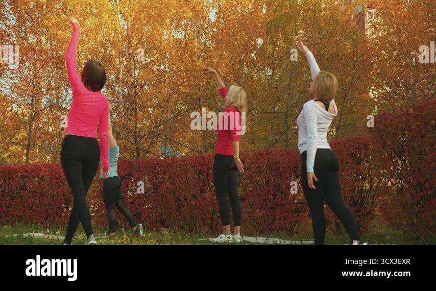 Women dancing in park Stock Videos & Footage - HD and 4K Video Clips ...
