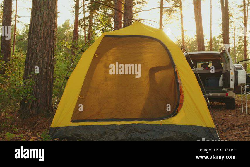 Tourist girl waking up inside camping tent in morning forest. Young ...