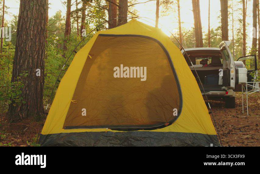 Tourist couple waking up in camping tent at sunny morning. Happy couple ...