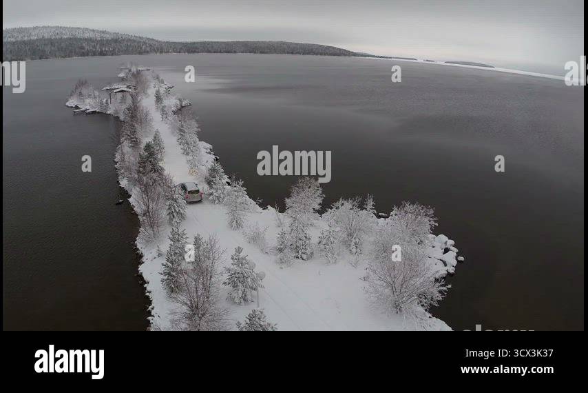 Trees alone Stock Videos & Footage - HD and 4K Video Clips - Alamy