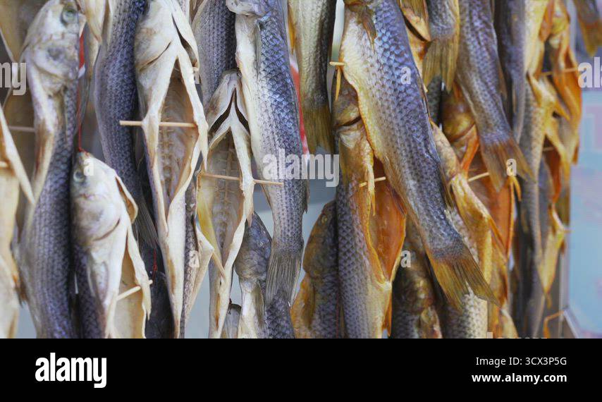 Drying rack dried fish Stock Videos & Footage - HD and 4K Video Clips ...